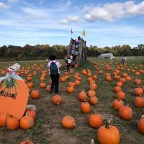 Fall Festival Kickoff Feature